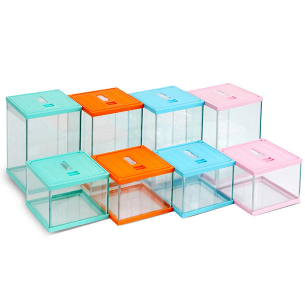 Reptile Glass Terrarium Amphibians Feeding Box Tra... – Vicedeal