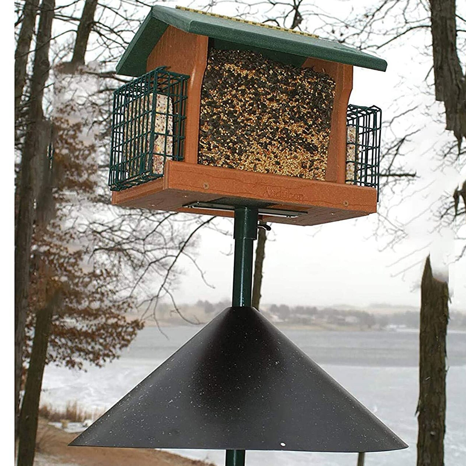 Bird Feeder Bezel Circular Wall Protection Univers... – Vicedeal