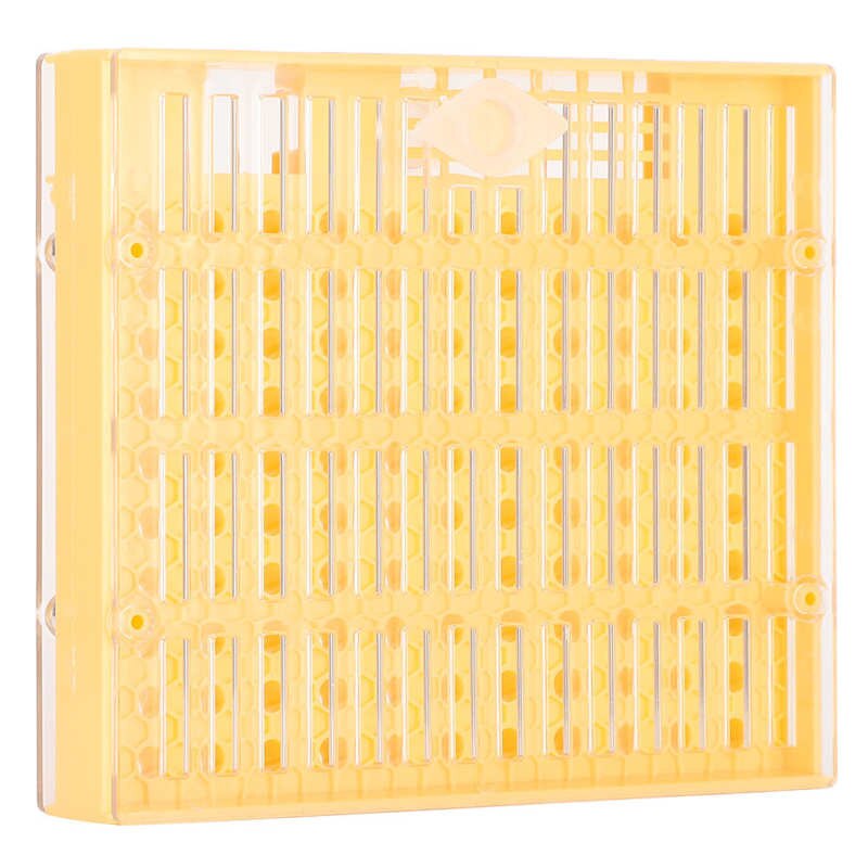 Breeding Box Bee Incubator Beekeeping Tool Plastic... – Grandado