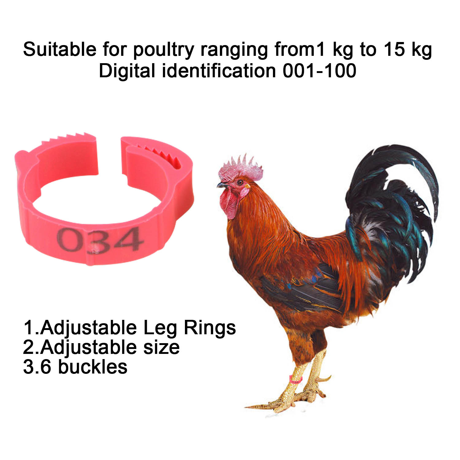 Behogar 100PCS Adjustable 001-100 Digital Poultry ... – Vicedeal