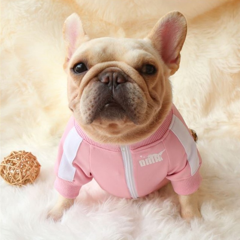 [mpk dog wear] sportstrøje til hunde, hundetøj, sm... – Grandado