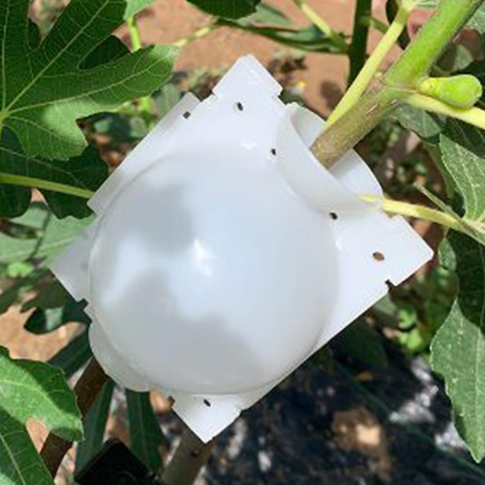 Blossom Plant Rooting Device Cutting Rooting Asexu... – Grandado