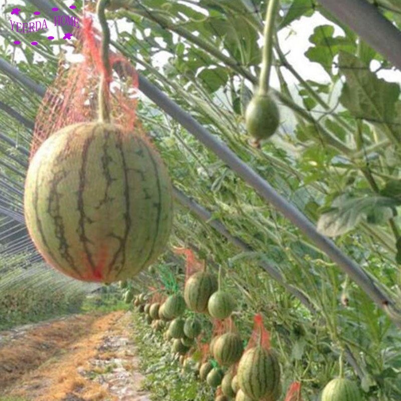 100Pcs Reusable Red Gardening net plastic mesh bag... – Grandado