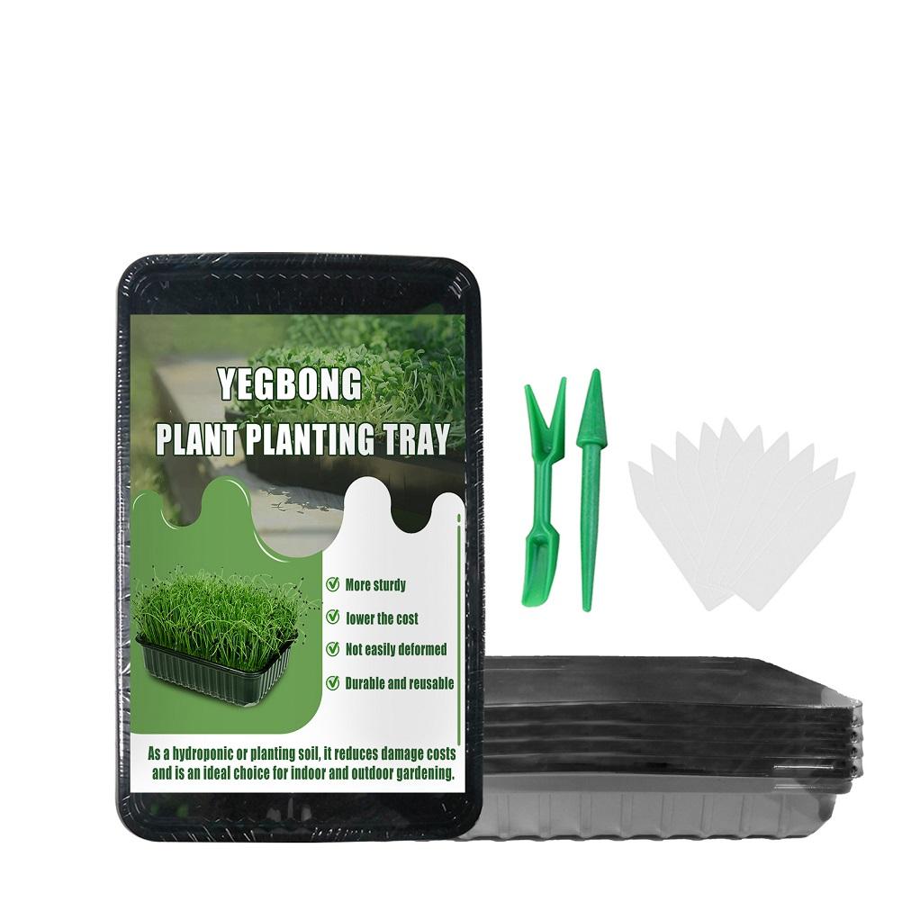 Plant Zaailingen Lade Tuin Groeiende Plaat Planten... – Vicedeal