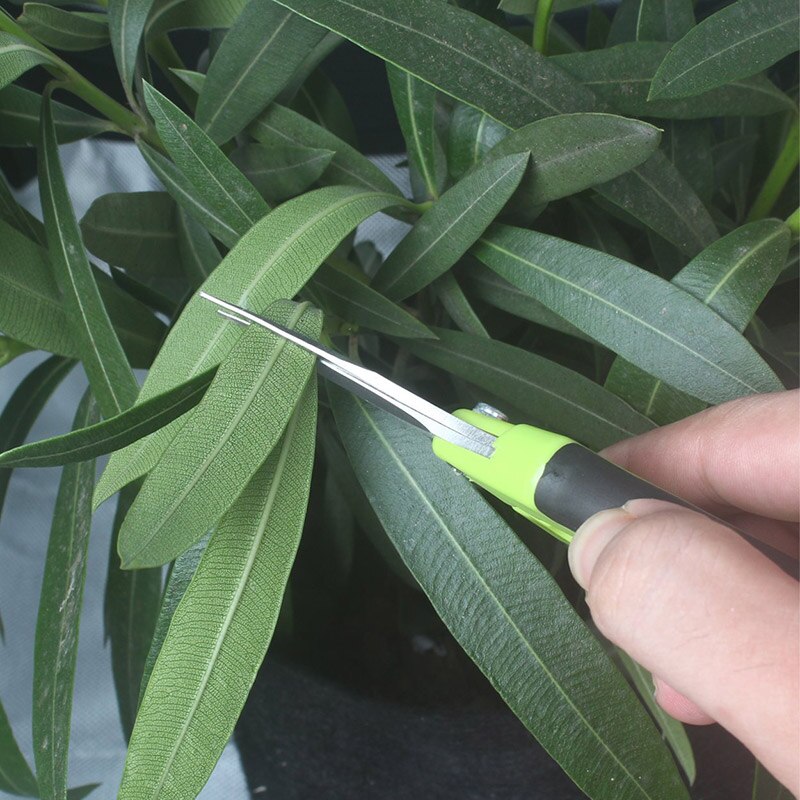 Gardening Shearing Pruning Hand Pruner Functional ... – Grandado