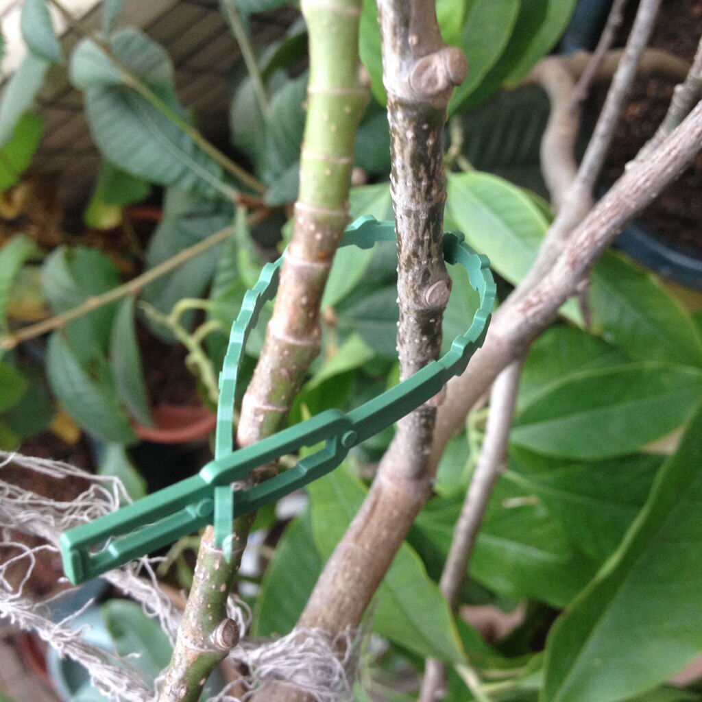 30pcs 16.5cm Plastic Cable Ties Gardening Clips Pl... – Grandado