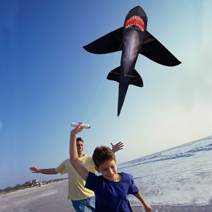 Large Shark LED Kite Animal Fish Kites Flying for ... – Grandado