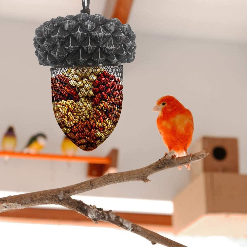 Lintu papukaija roikkuu ruoka syöttölaite kontti u... – Vicedeal