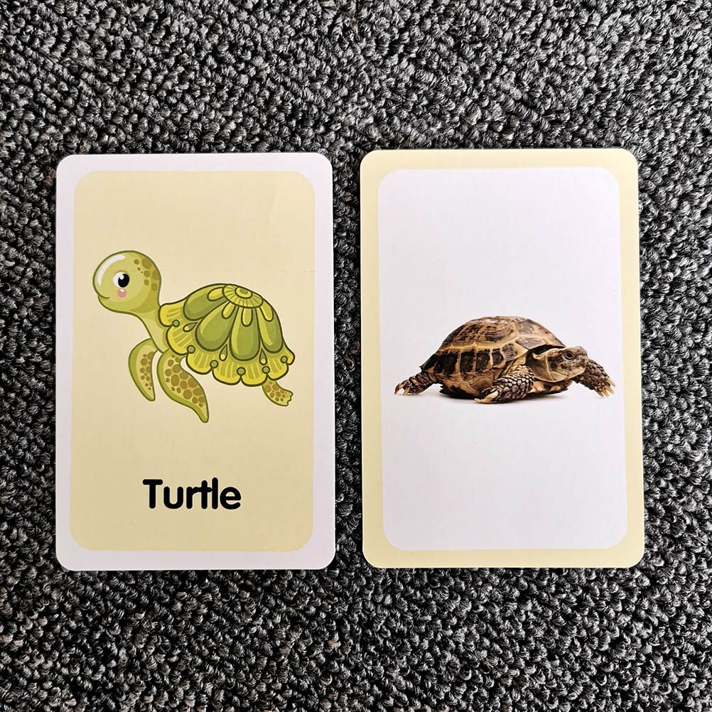 36Pcs Children Recognition Shape Animal Color Teac... – Vicedeal