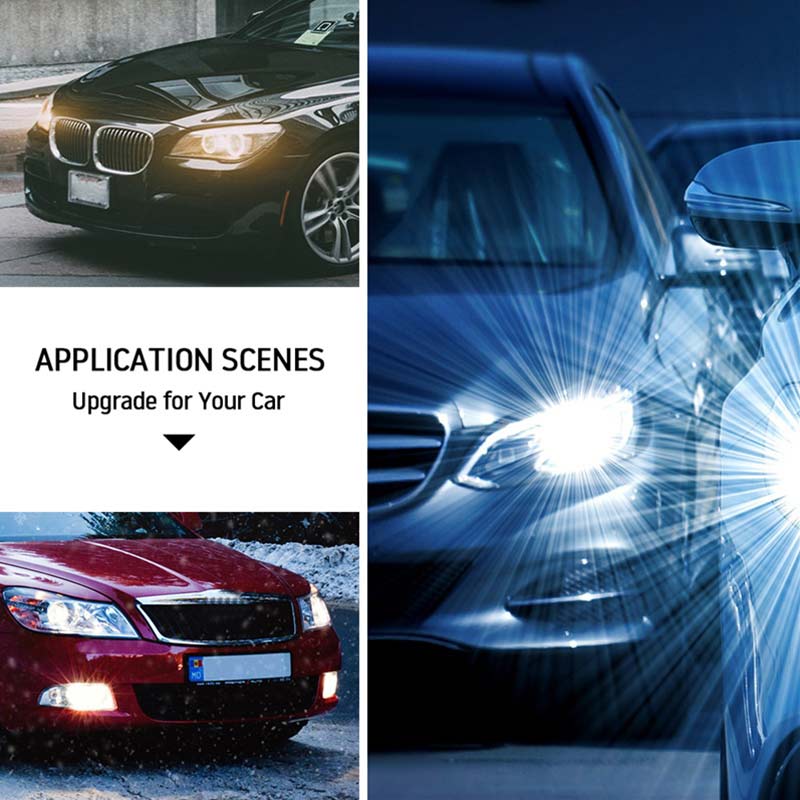 2 Stuks 12V H7 Wit Mistlampen Halogeen Lamp High P... – Grandado