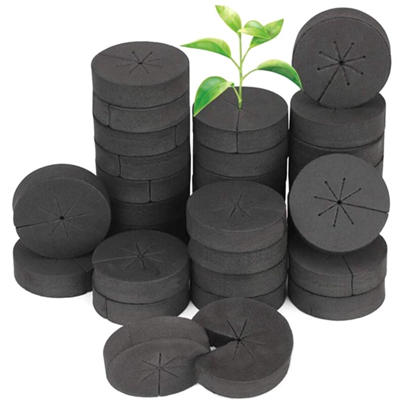 60Pcs Garden Clone Collars Neoprene Inserts Sponge... – Grandado