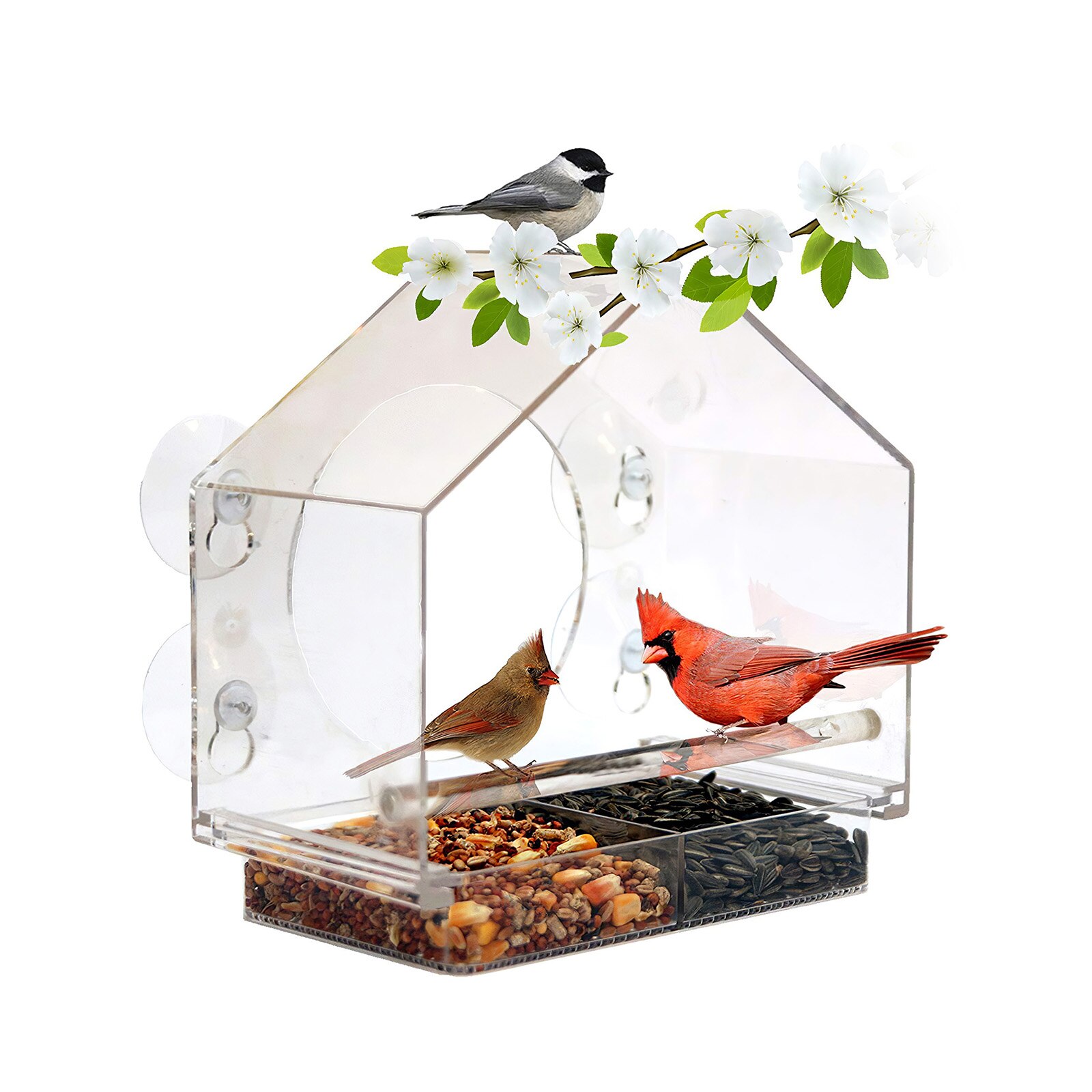 Window Bird Feeder Wild Table Hanging Suction Pers... – Grandado