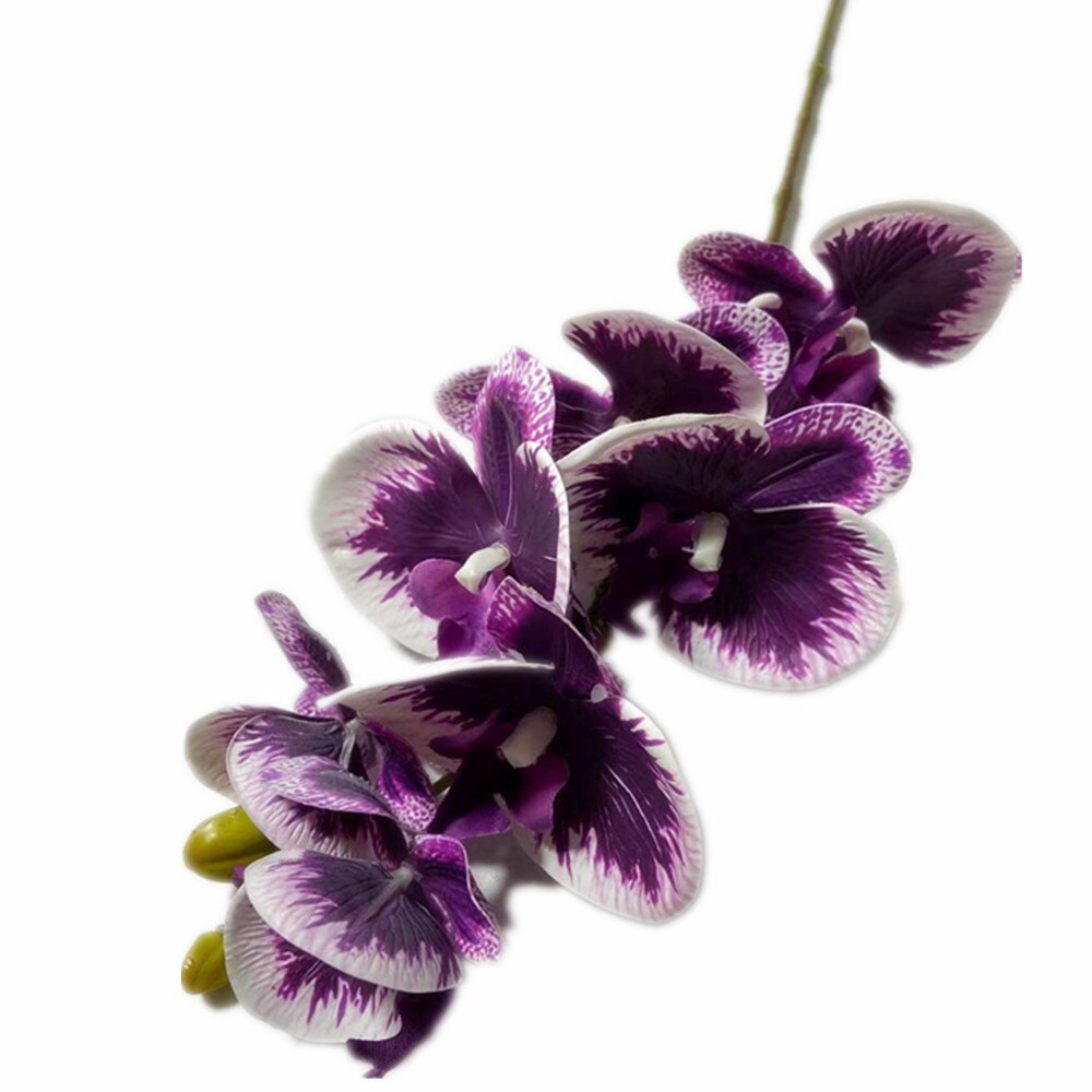 One Real Touch Cymbidium Orchid Flower Plant Artif... – Grandado