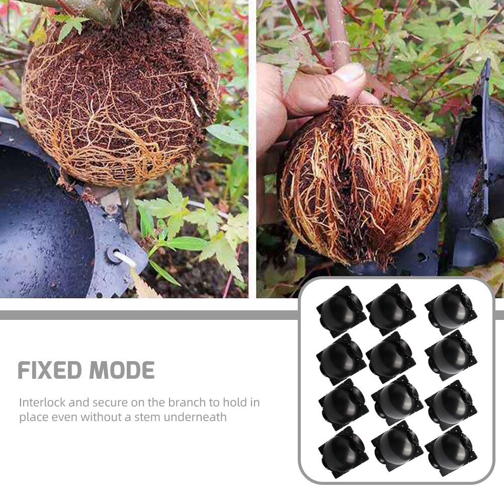 12Pcs Plants Breeding Boxes Plastic Plants Rooting... – Grandado