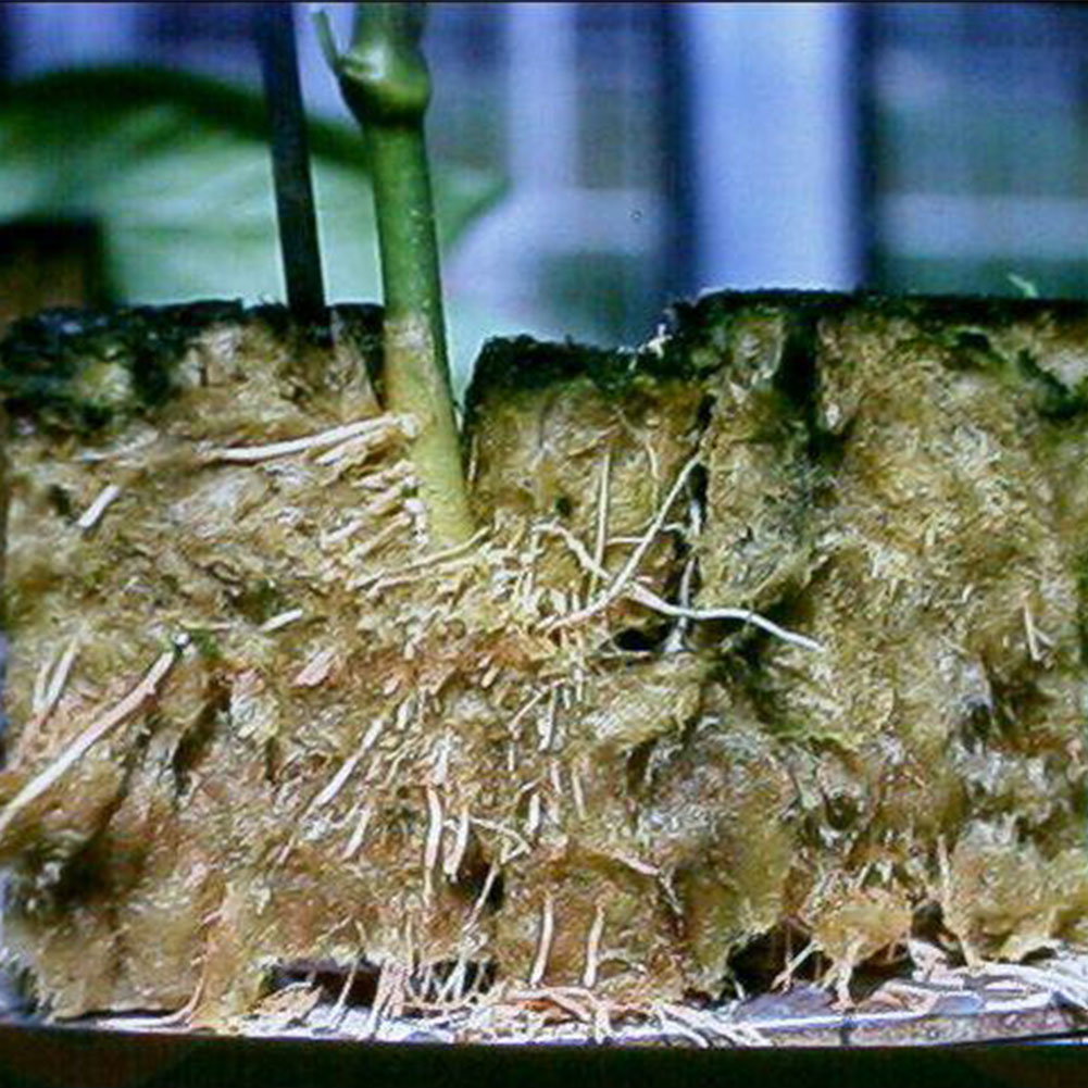 Soilless Culture Substrate Agricultural Cutting Se... – Vicedeal