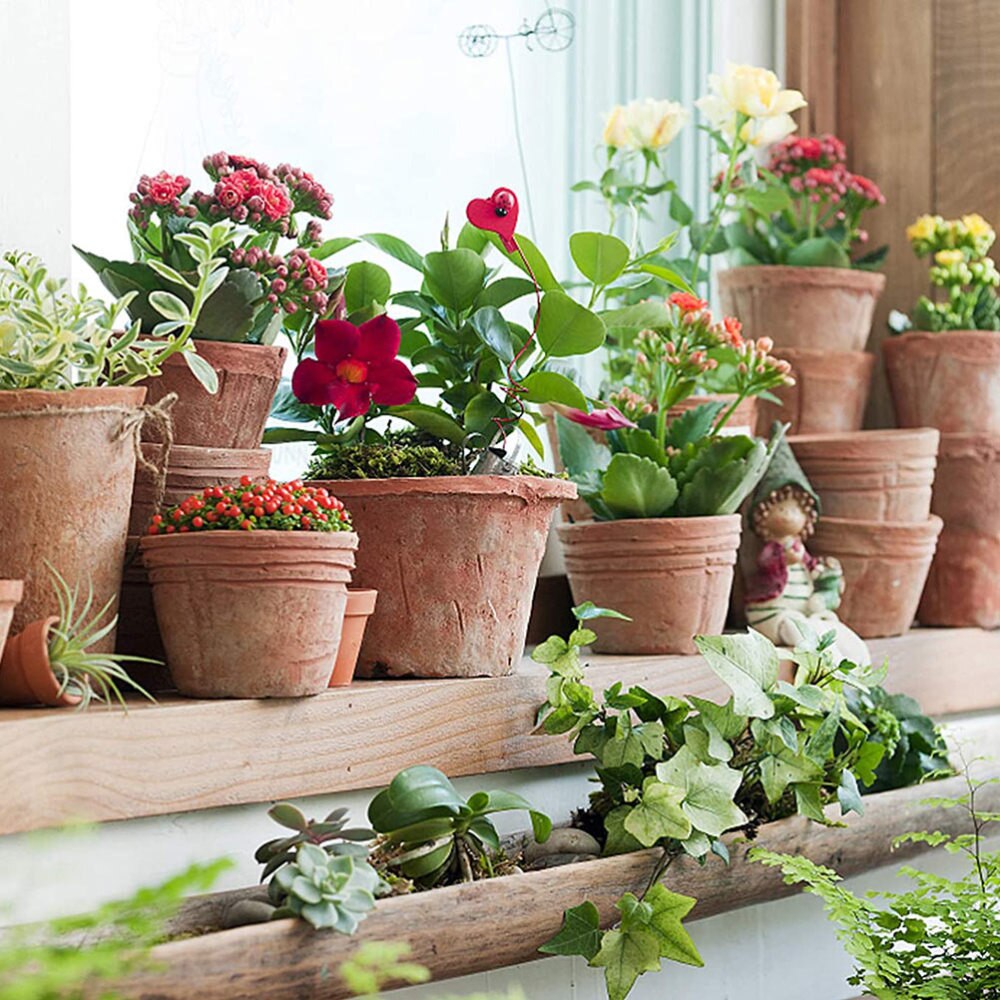 20pcs Bonsai Mesh Drainage Screens Bonsai Pot Bott... – Vicedeal