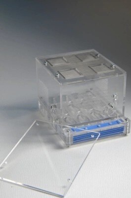 Ant House Nest Insect Pet Ant Cage Farm With Feedi... – Vicedeal