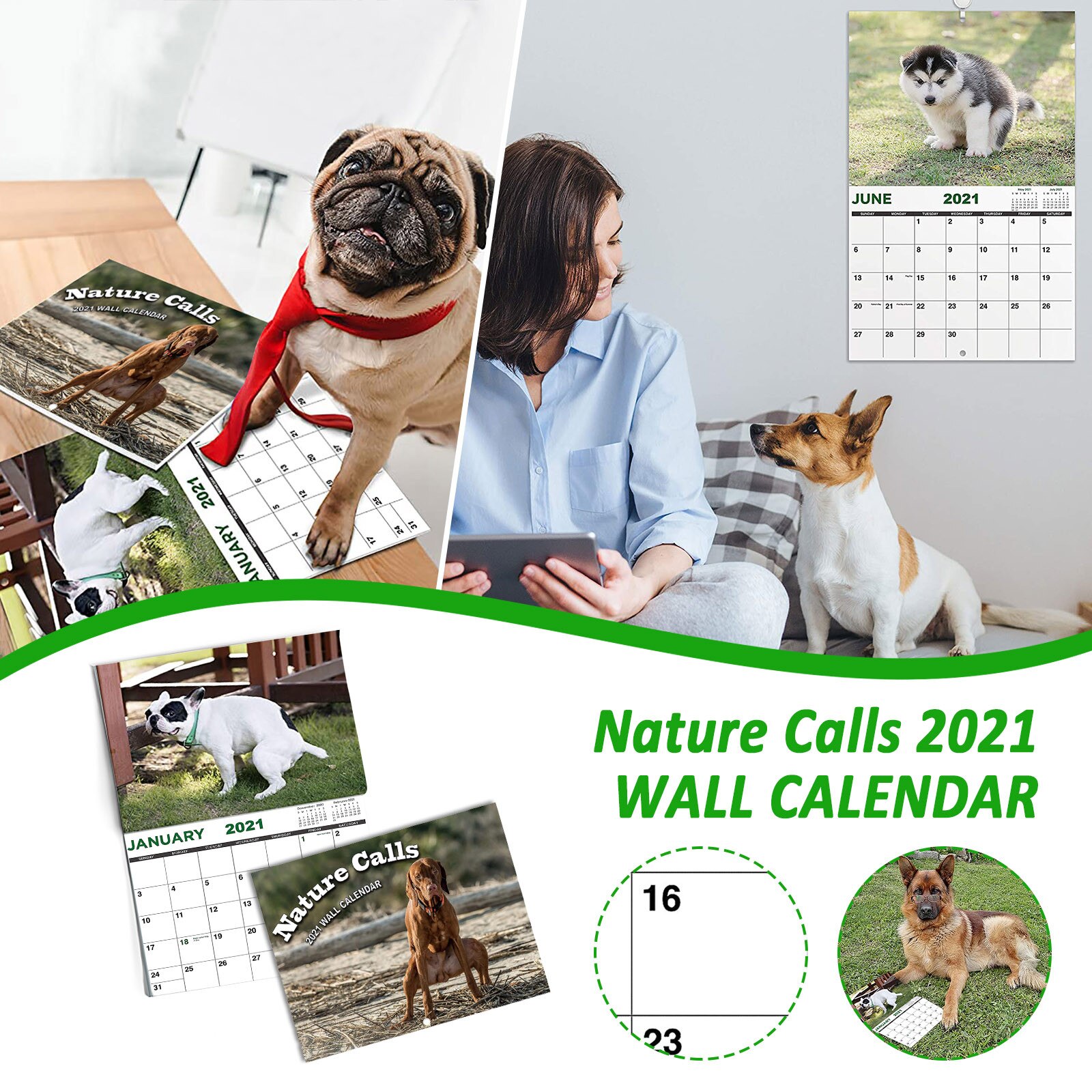 Dogs Pooping Calendar Wall Calendar 12-Month Sched... – Grandado