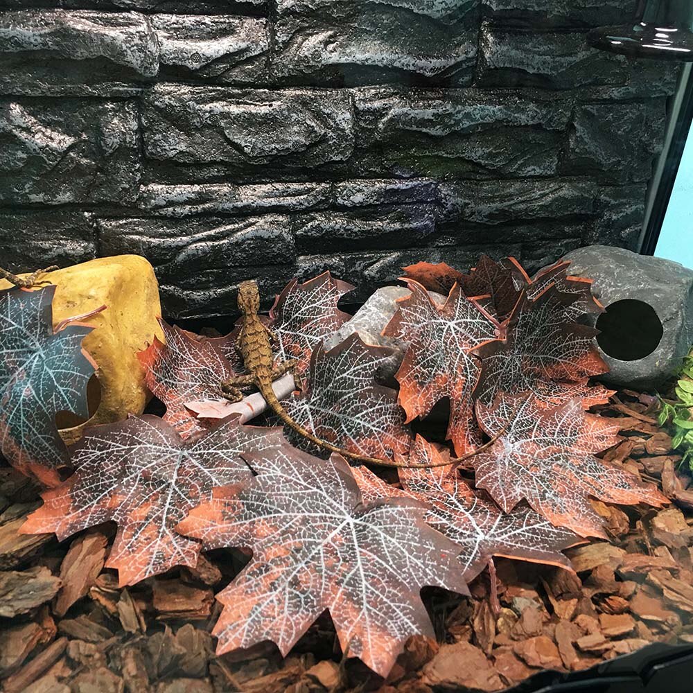Reptile Shelter Hiding Cave Habitat for Lizards Fr... – Vicedeal