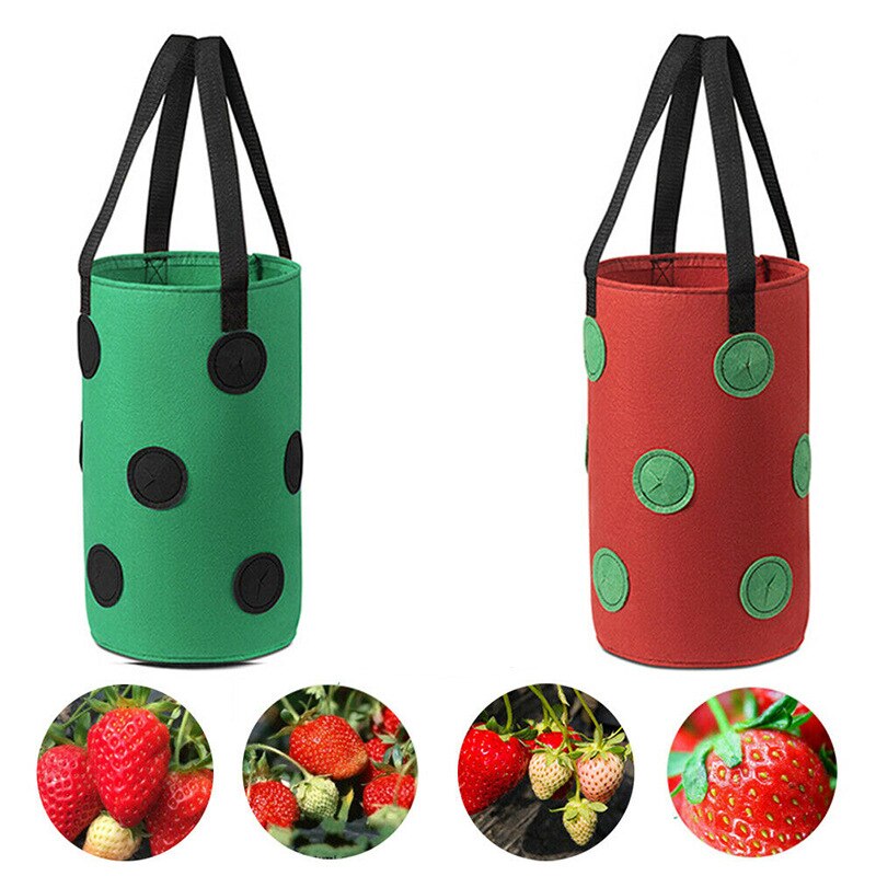 Multi-mouth Strawberry Bag Hanging Strawberry Plan... – Grandado
