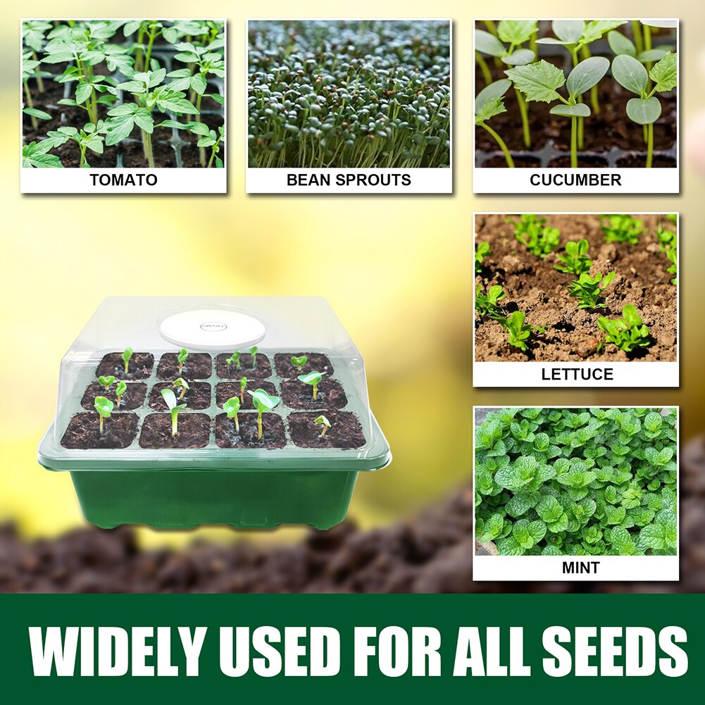 6 pack Nursery Pots with Grow Lights Seed Starter ... – Grandado
