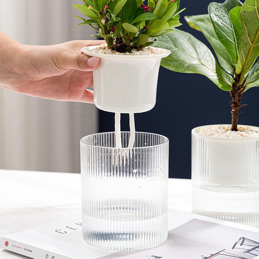 Self Watering Automatic water-absorbing and water-... – Grandado