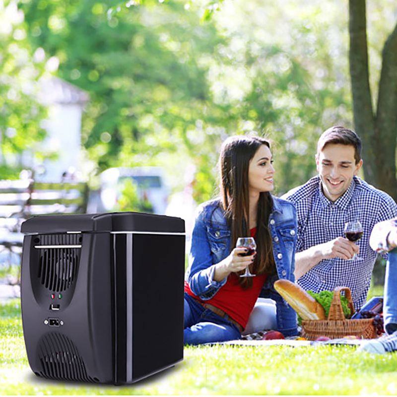 2 In 1 6L Mini Fridge Car Cans Beer Cooler Eletric... – Vicedeal