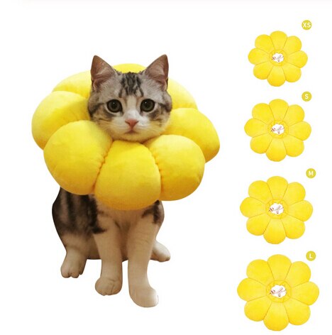 4 Size Pet Cat Dogs Elizabeth Collar Prevention of... – Grandado