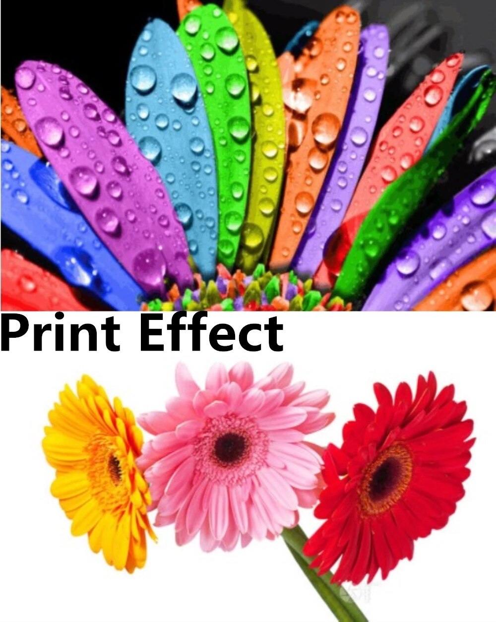 ALL Printer Head For Epson Printhead Replacement P... – Grandado