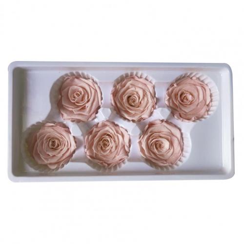 6PCs/Box Preserved Fresh Rose Flower Heads Class B... – Grandado