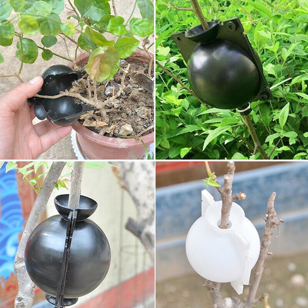 4 Pcs Reusable Plant Rooting Equipment Kit-High Pr... – Grandado