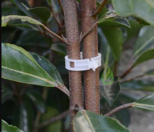 A9 Garden supplies Special clamp for vegetable see... – Grandado