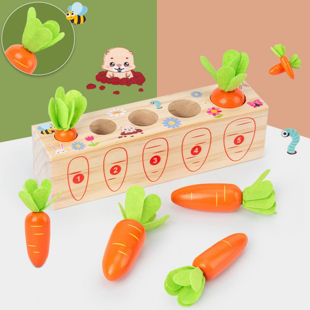 Cartoon Carrot Math Learning Children Early Educat... – Vicedeal