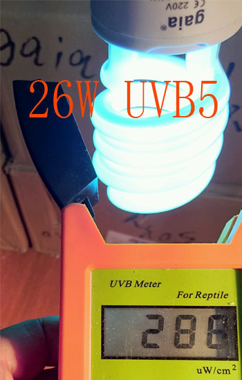 Ultraviolet Light Bulb E27 5.0 10.0 UVB 13W/26W Pe... – Vicedeal