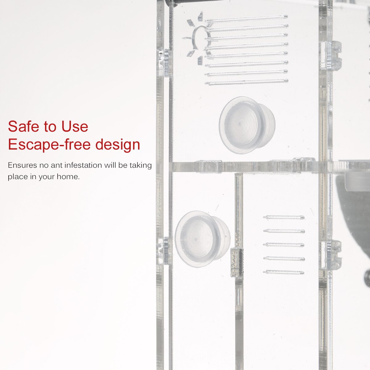 Ant Farm Starter Kit Ant Habitat Science Kit STEM ... – Grandado