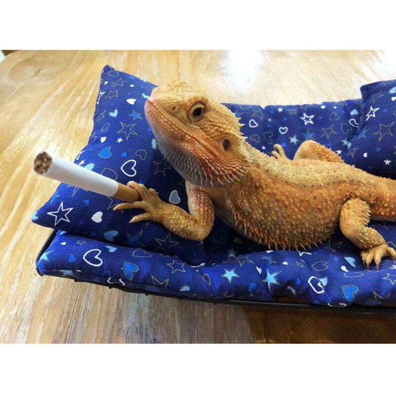 Reptile Hammock Bed Cute Stars Hearts Print Sleepe... – Vicedeal