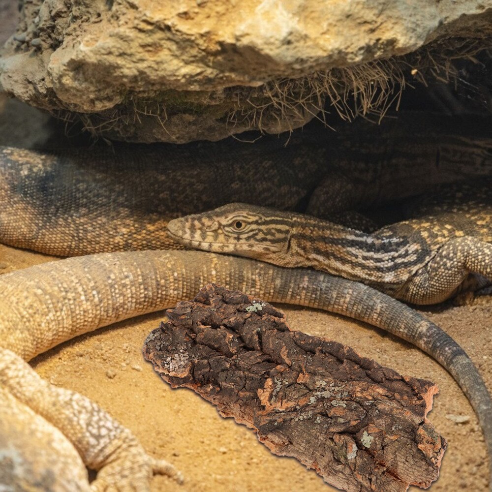 2 Stuks Reptiel Terrarium Landschap Ornament Huisd... – Grandado