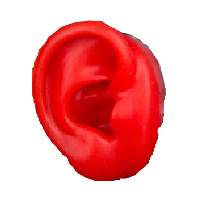 Silicone ear model soft ear model human ear model ... – Vicedeal
