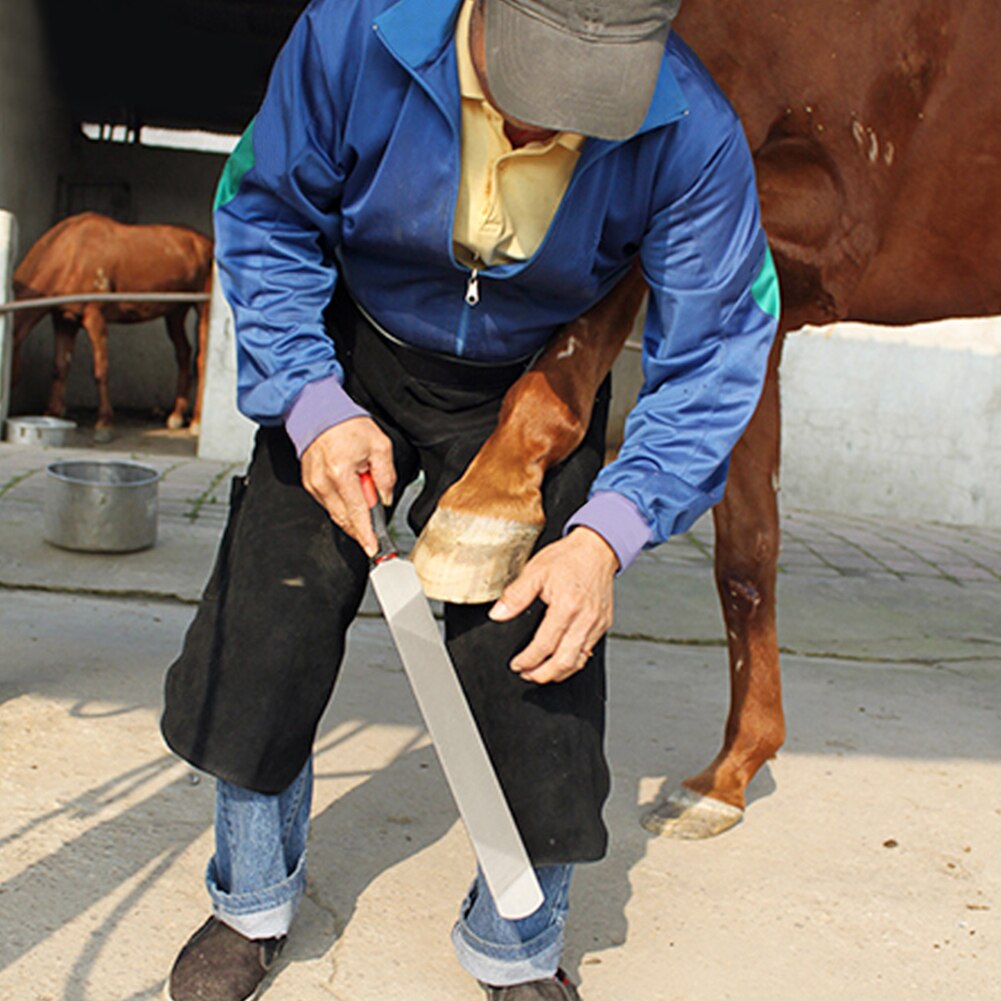 3pcs Ergonomic Handle Labor Saving Hoof Cutter Set... – Grandado