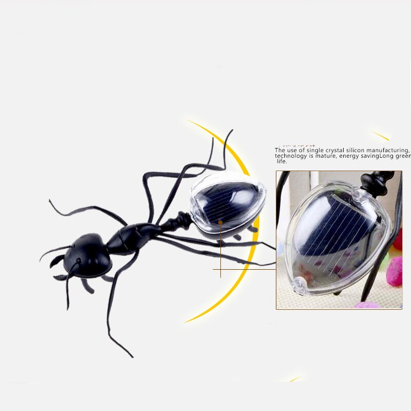 Kids Solar Toys Power Energy Solar Ant Black Child... – Vicedeal