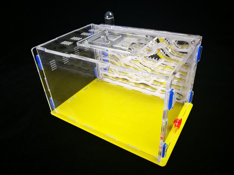 9 Colors Ant Nest City C1 Insect Cage Farm With Fe... – Grandado