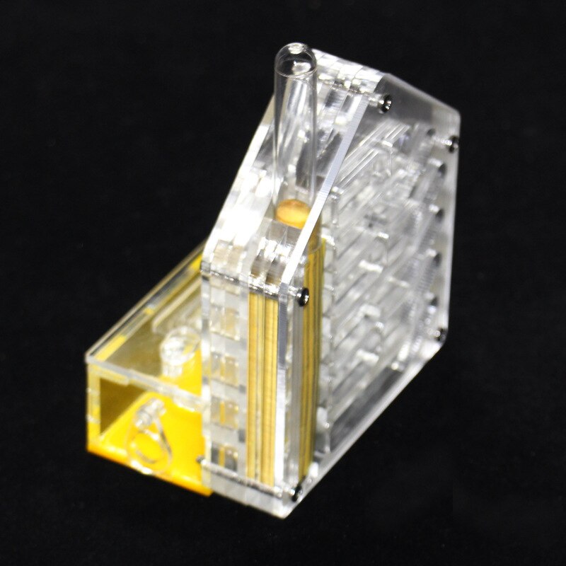 Pyramid Ant Farm Acrylic Ants Nest with Moisture A... – Grandado