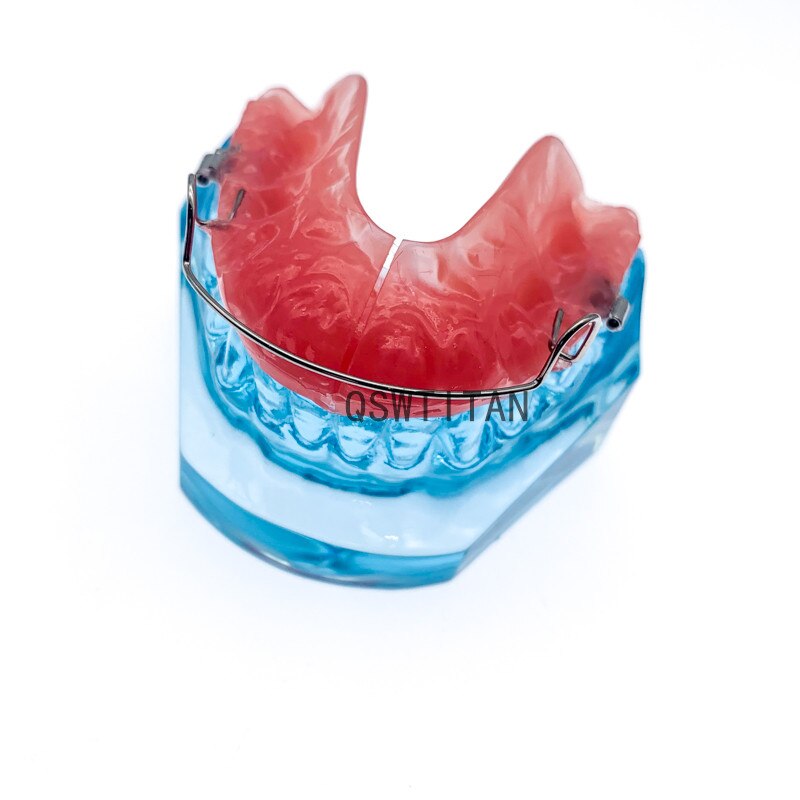 Dental Functional Orthopedic wiht Retainer Model T... – Vicedeal