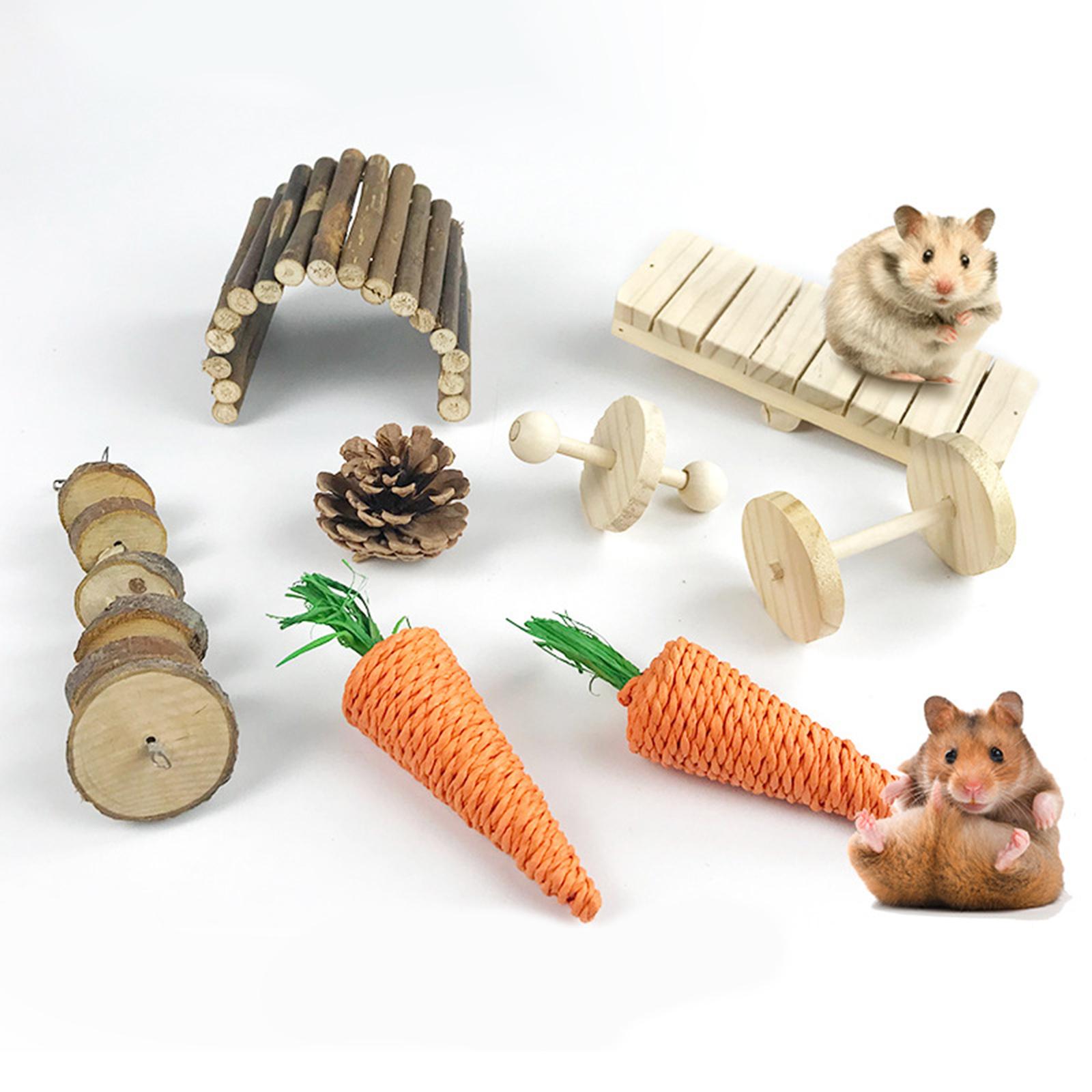 8Pcs Hamster Chew Toys Set Rats Dumbells Exercise ... – Grandado