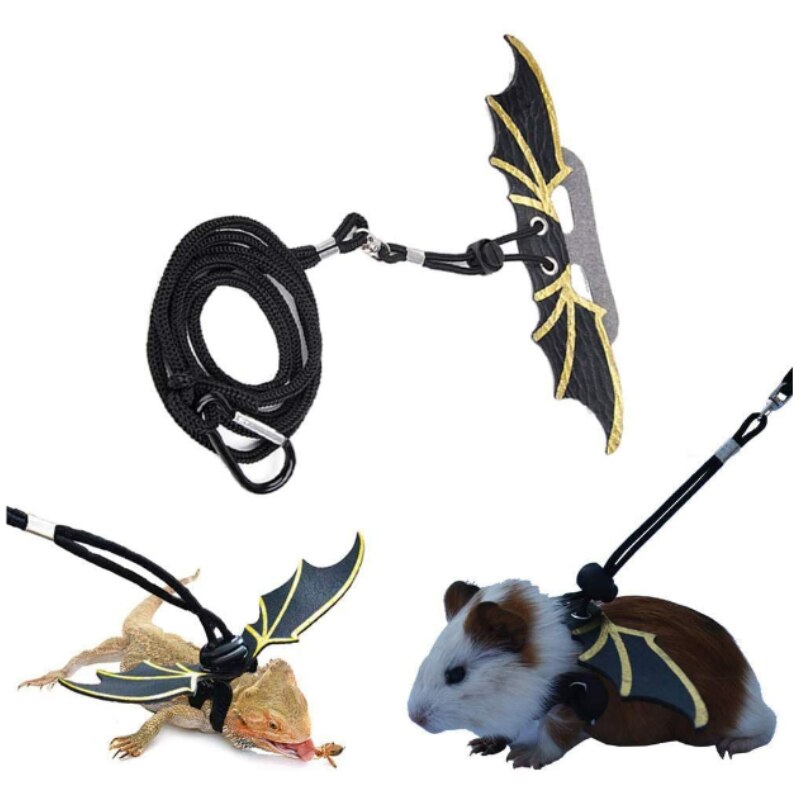 3PCS Adjustable Size Reptile Lizard Gecko Harness ... – Grandado