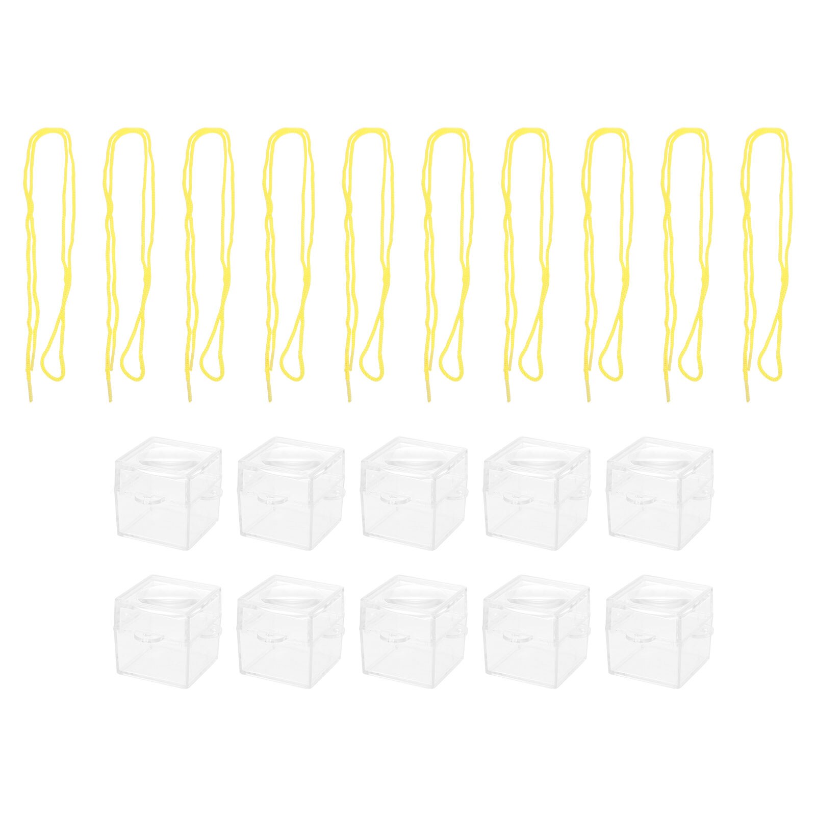 10Pcs Household Bug Viewers Transparent Magnifying... – Grandado