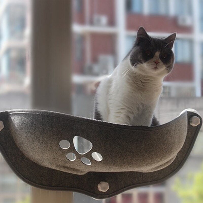 Pet Hammock Beds Bearing 20Kg Cat Window Lounger S... – Grandado