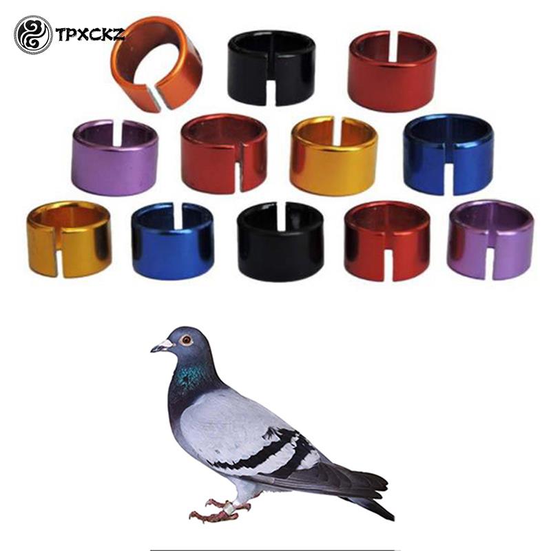 10 Pcs /set Pet Bird Rings 10mm Aluminium Pigeon R... – Vicedeal