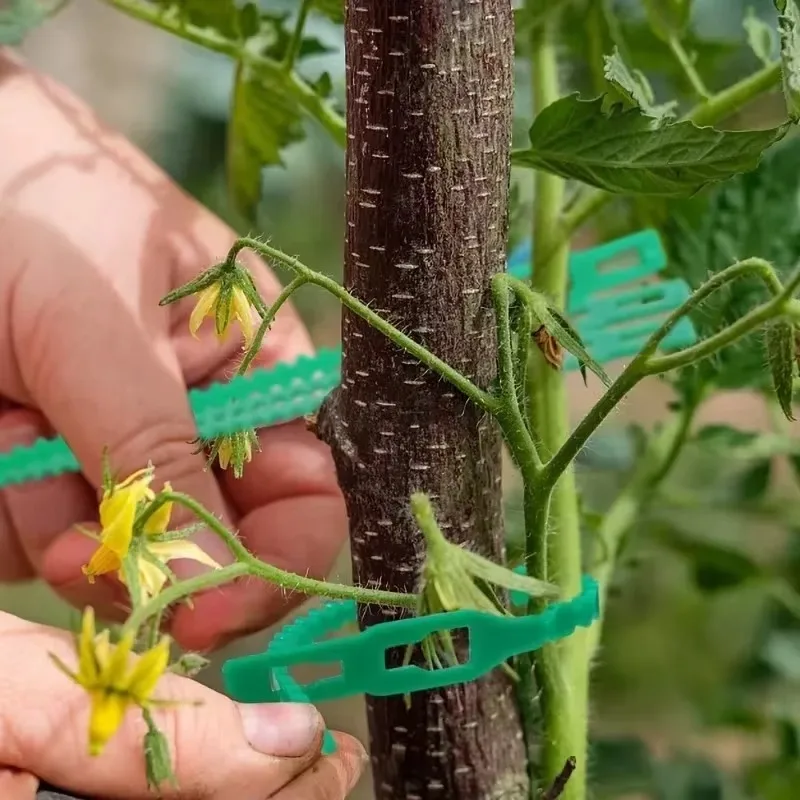 Adjustable Plastic Plant Cable Ties Reusable Garde... – Grandado
