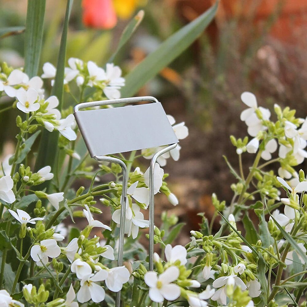 20pcs Succulents Nursery Flowers Metal Plant Label... – Grandado